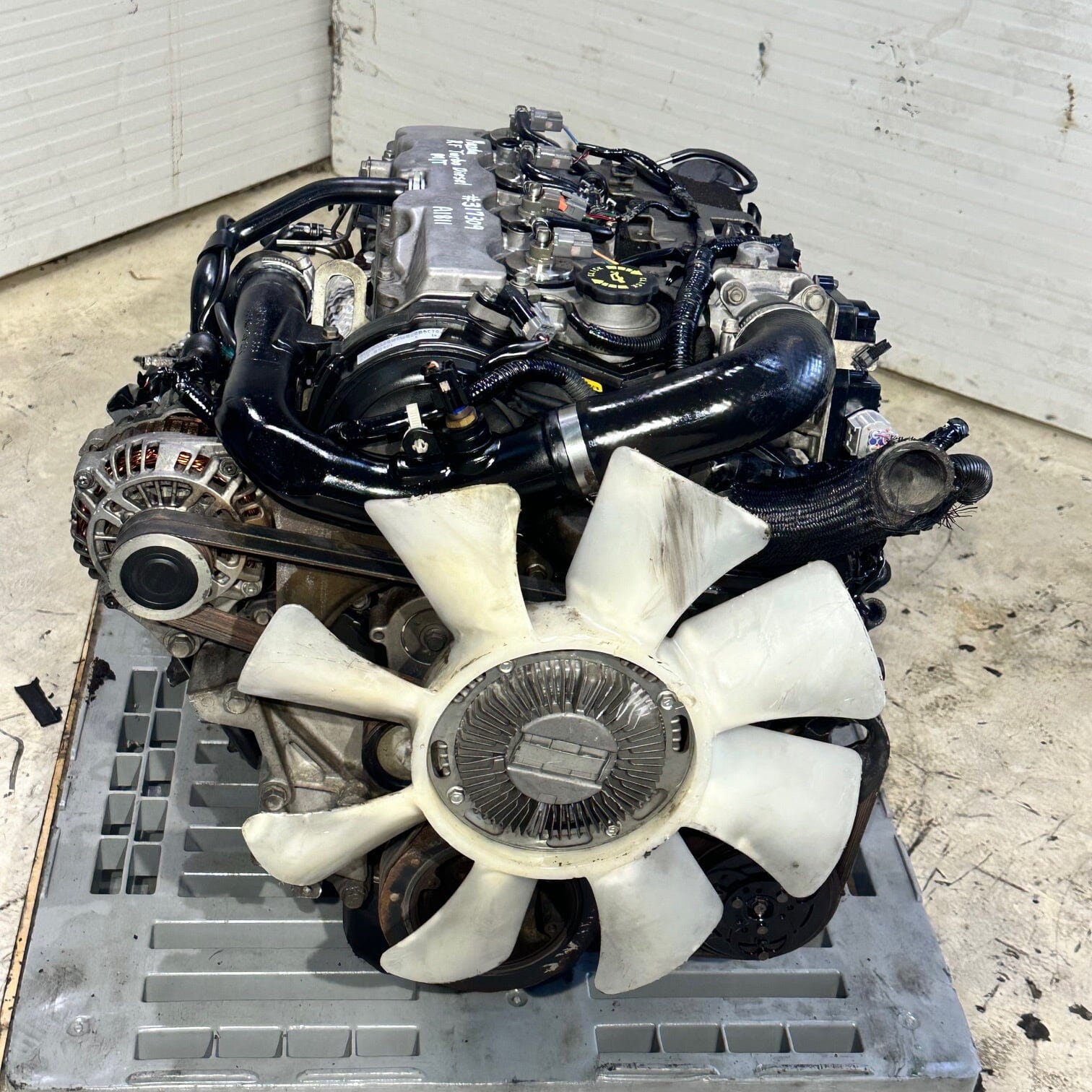 Honda Collections – JDM Engine Zone